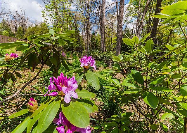 Pebblestone Cottage | Farmington Vacation Rentals