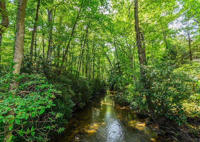 Pebblestone Cottage | Farmington Vacation Rentals