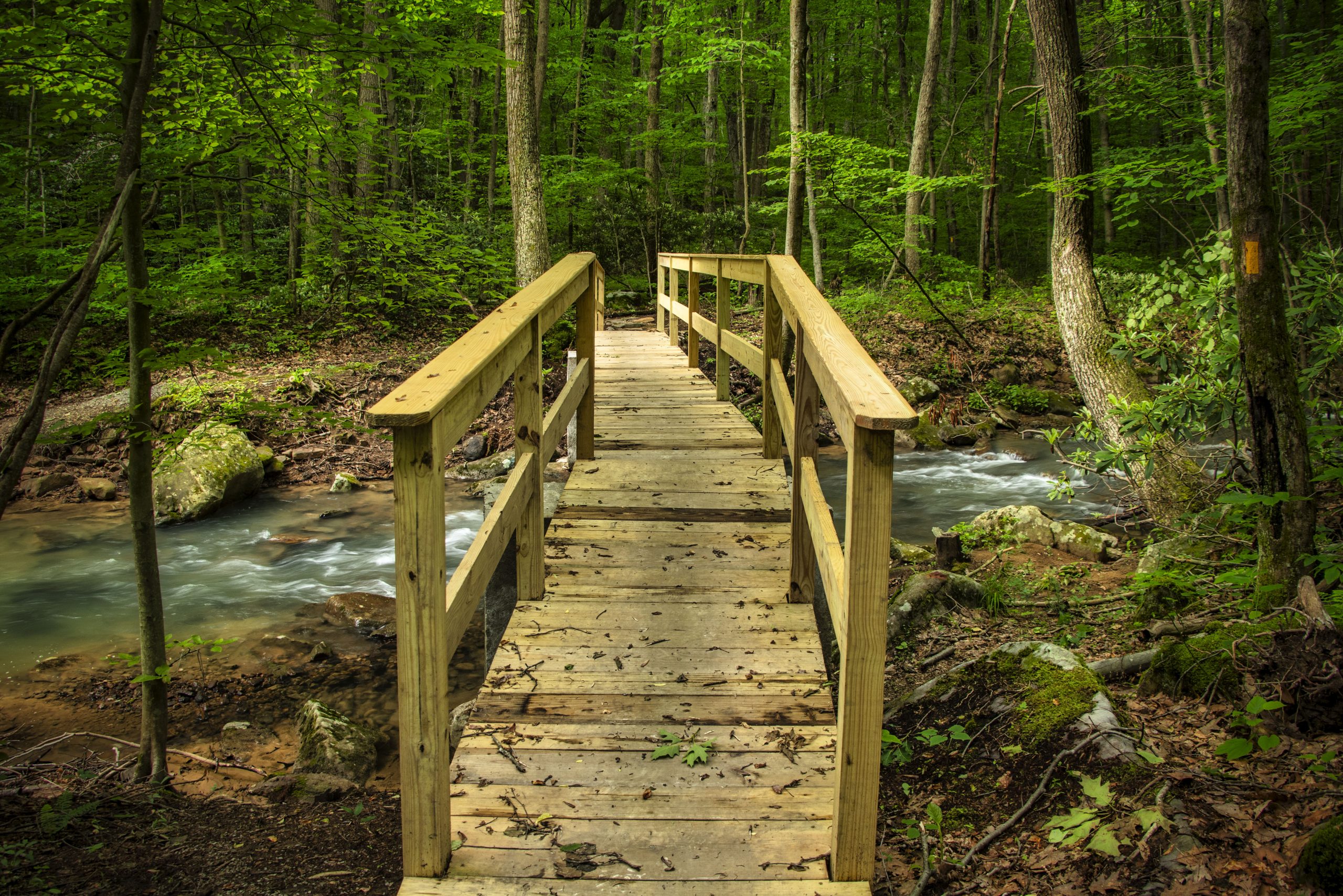 3 Can’t Miss Hikes | Ohiopyle Vacation Rentals